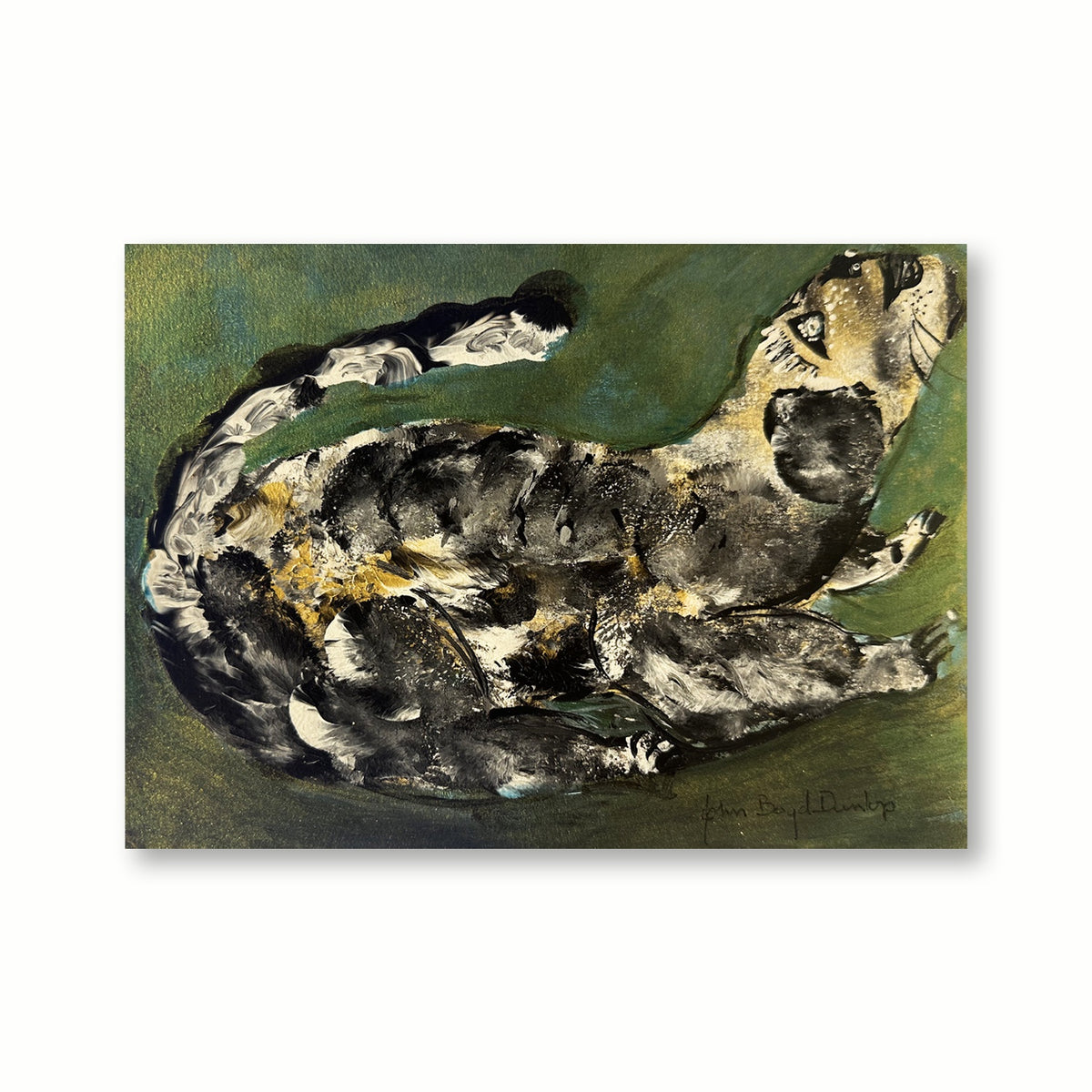 Hungry Cat | Painting | by John Boyd Dunlop – The Frame Workshop & Gallery